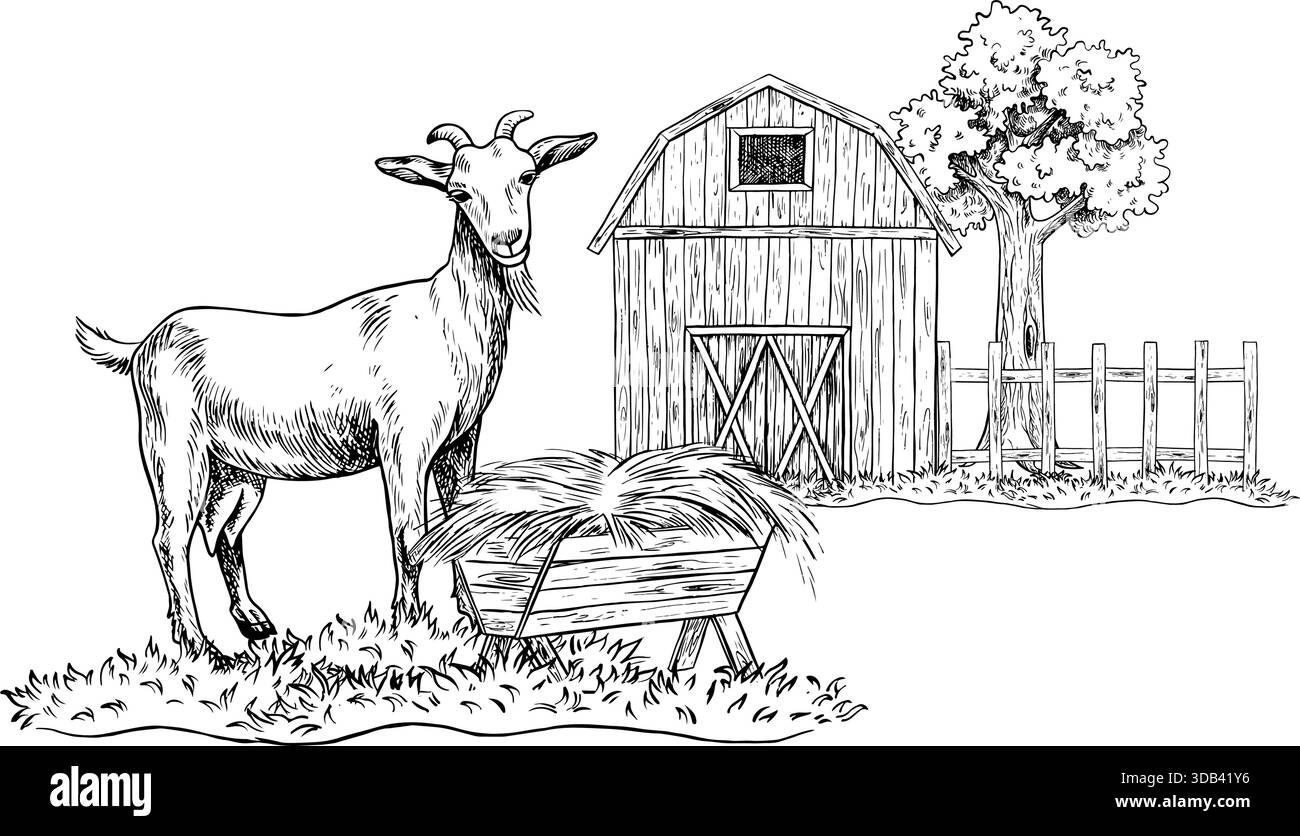 Hand feed goat Stock Vector Images - Alamy
