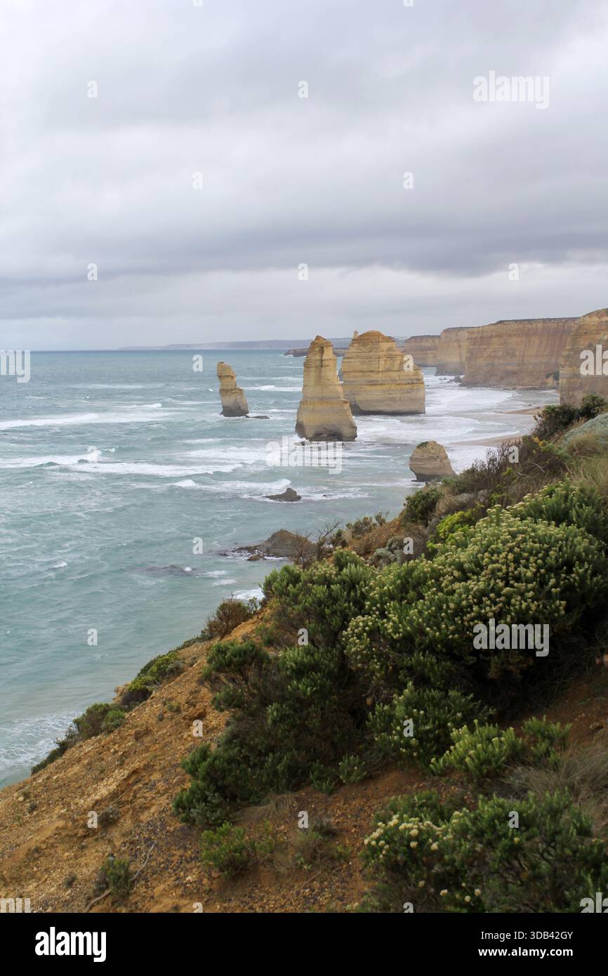 Twelve Apostles limestone stacks with the ocean and coastal shrubs on ...