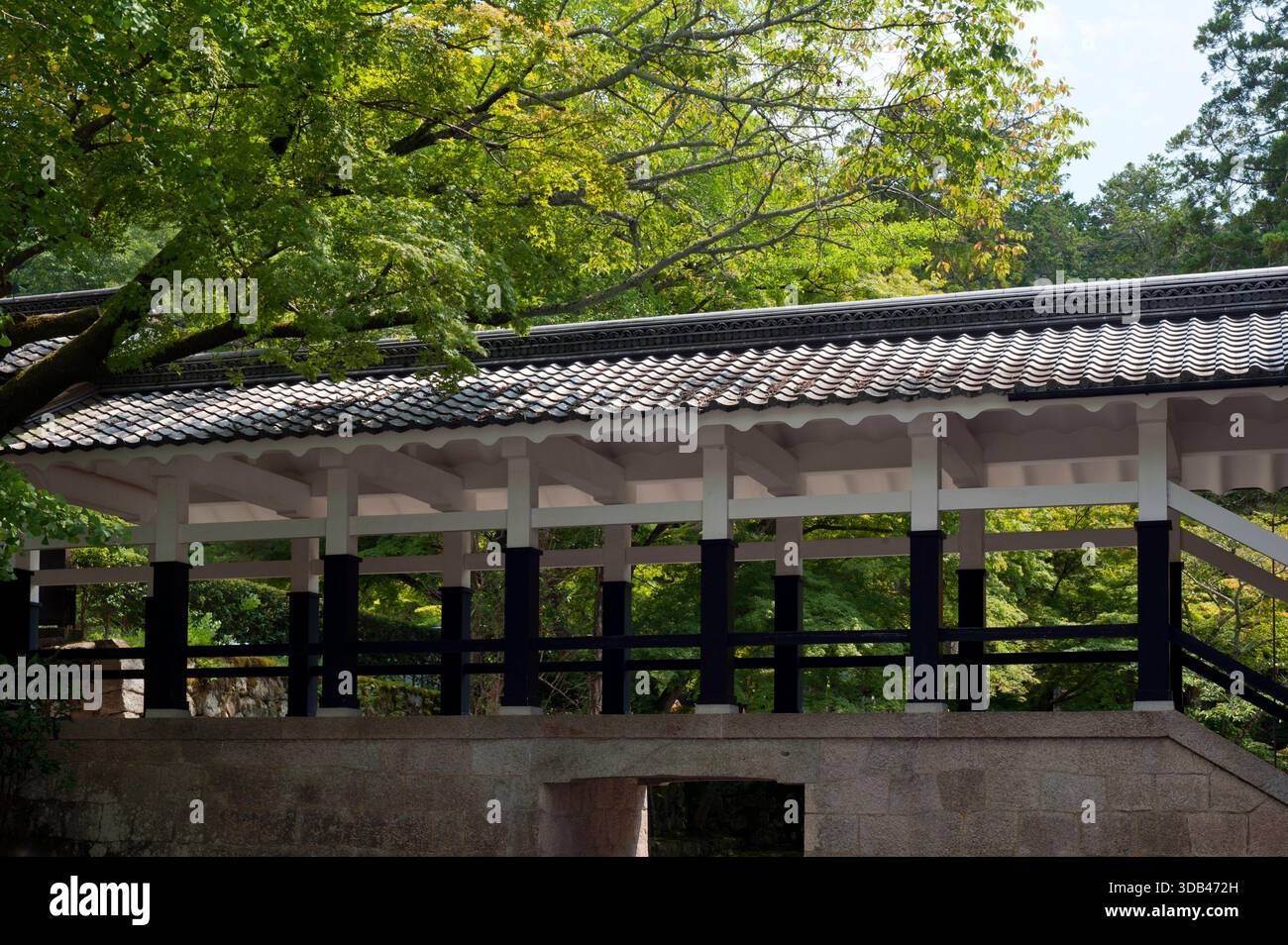 Buddhist temple hall covered hi-res stock photography and images - Alamy