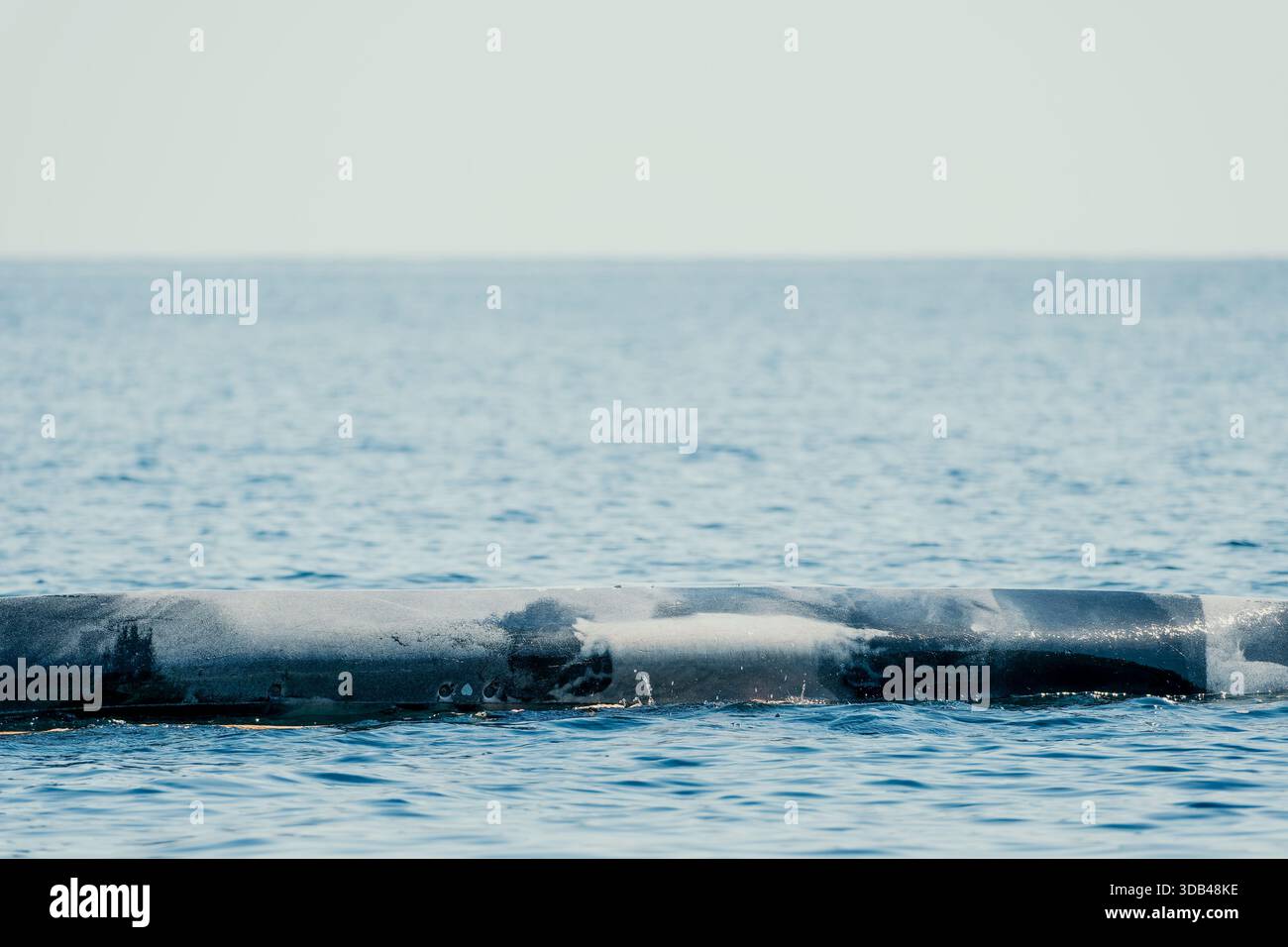 Booms, Ocean, Pollution - Floating oil booms in the ocean to contain ...