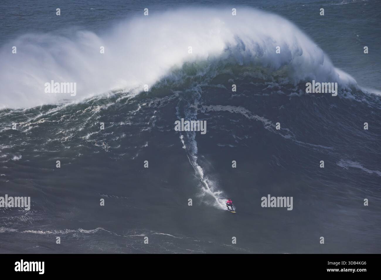 The Australian surfer, James Carew, rides a wave during the Tudor ...