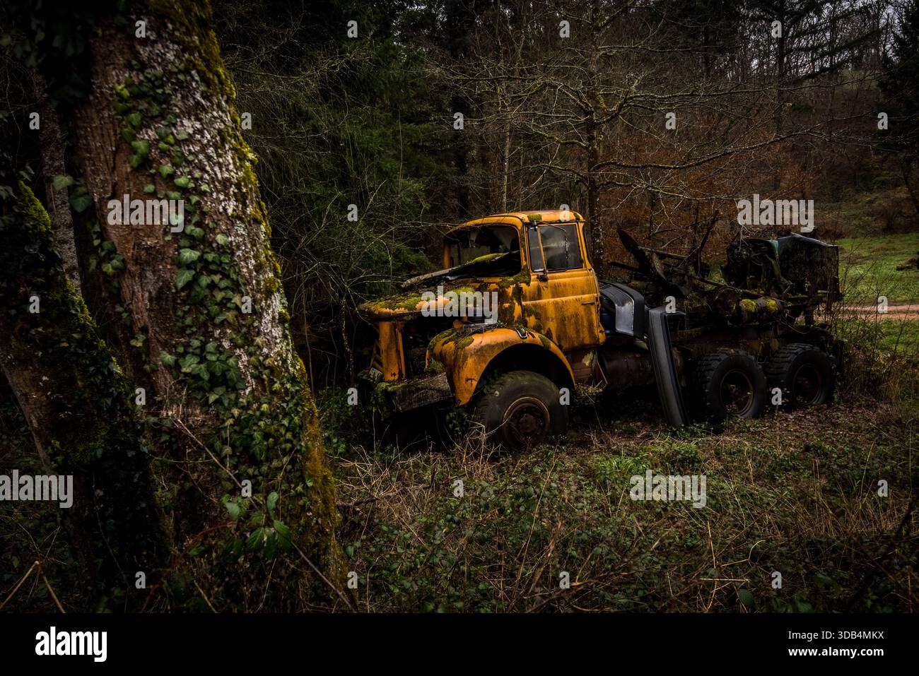 Mossy truck hi-res stock photography and images - Alamy