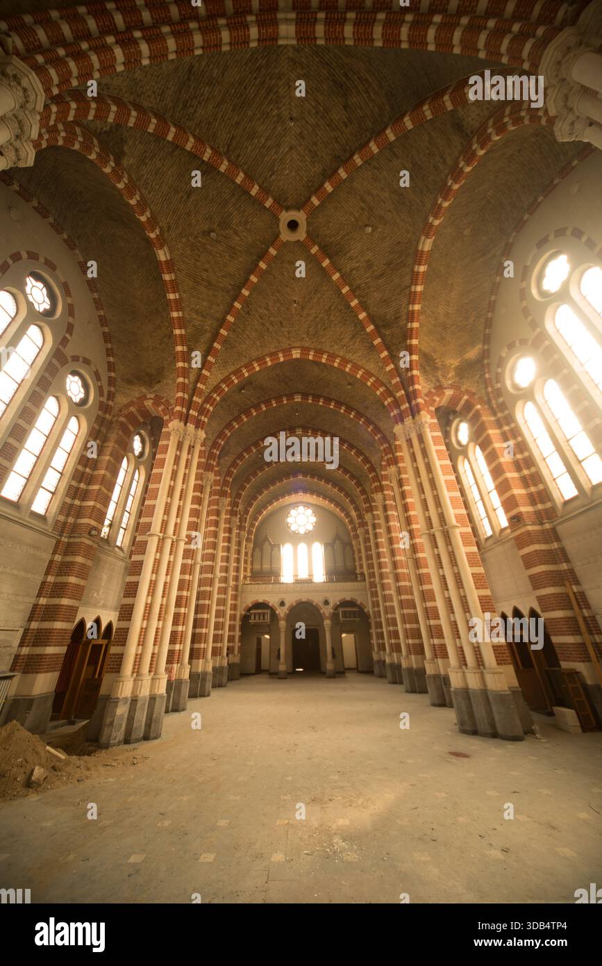 Sunlit abandoned church interior with vaulted brick arches, ribbed ...