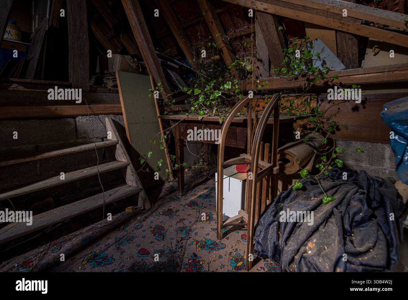 Abandoned attic with vintage sled, overgrown ivy and dusty wooden desk ...