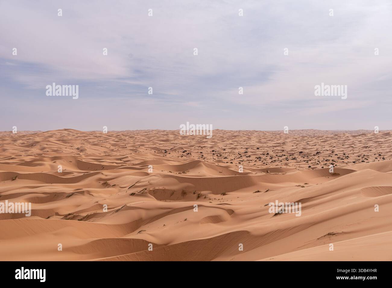 Sahara desert panorama rolling hi-res stock photography and images - Alamy