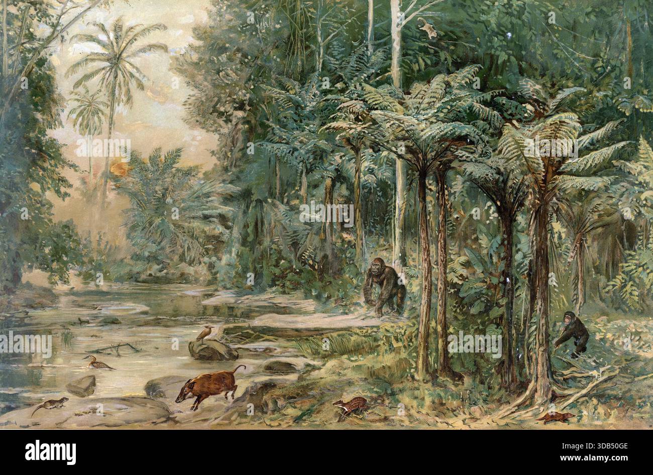 Rainforest on the equator in West Africa, authentic reproduction of a ...