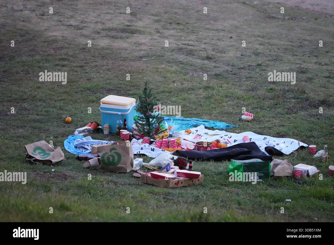 A small Christmas tree is at the center of an abandoned holiday picnic ...