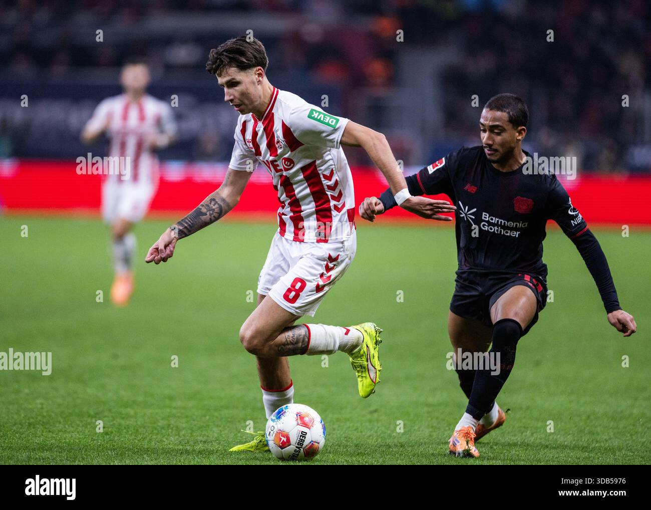 Leverkusen, Bayarena, 13.12.2025: Denis Huseinbasic of Koeln challenges ...