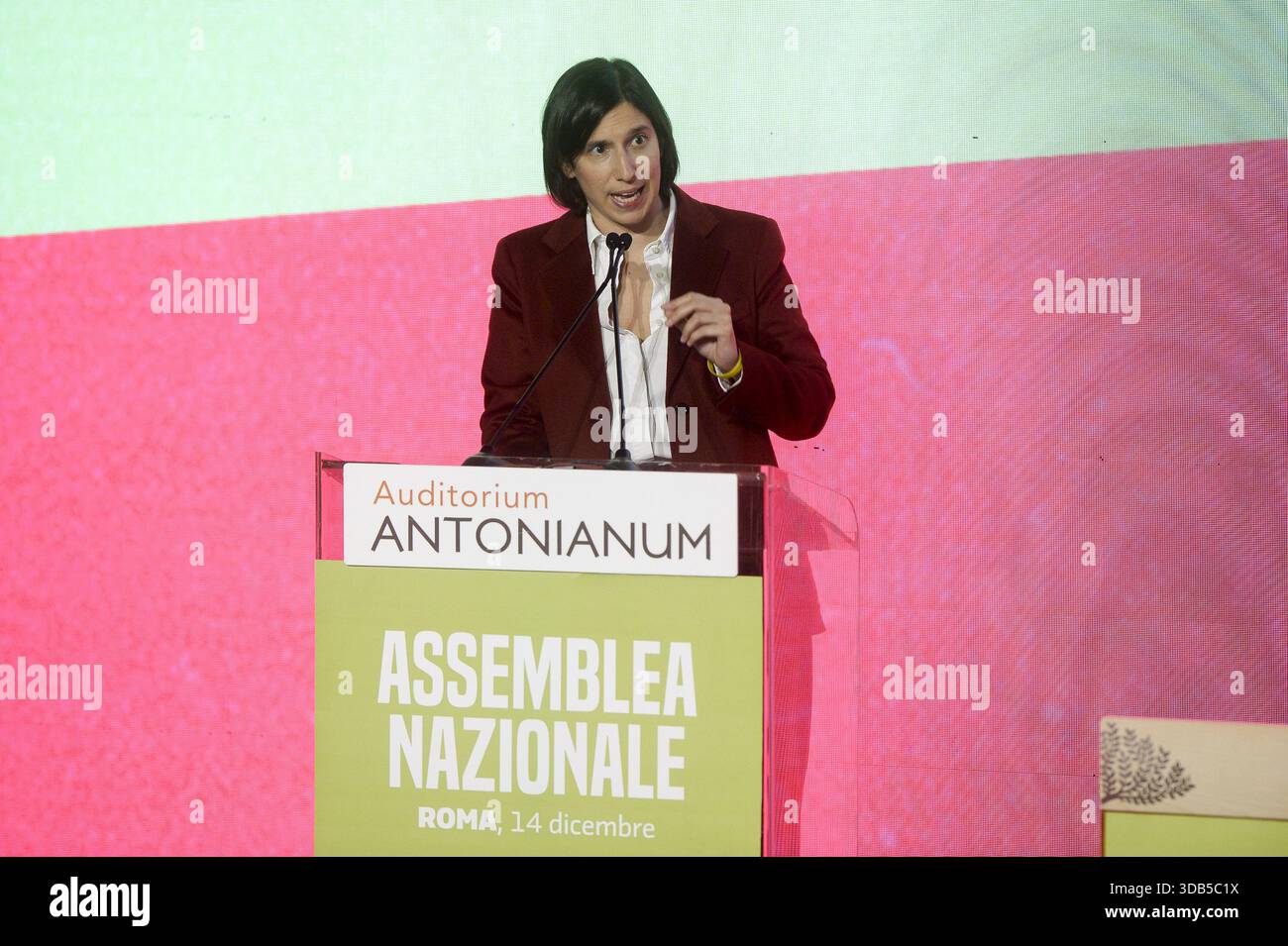 Rome National Assembly of the Democratic Party (PD) in the photo by ...