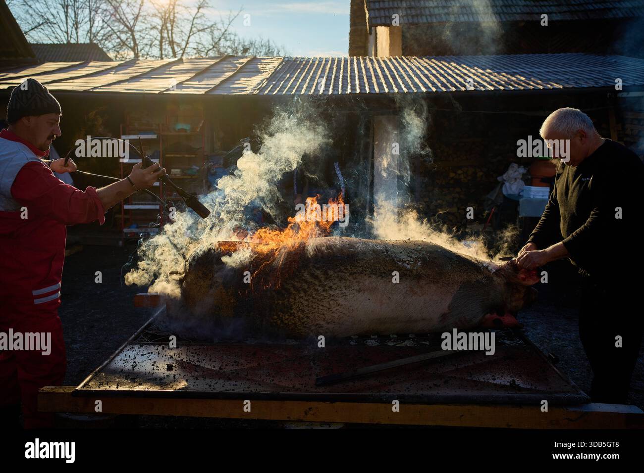 People burn the hair off a pig they sacrificed, a tradition ahead of ...
