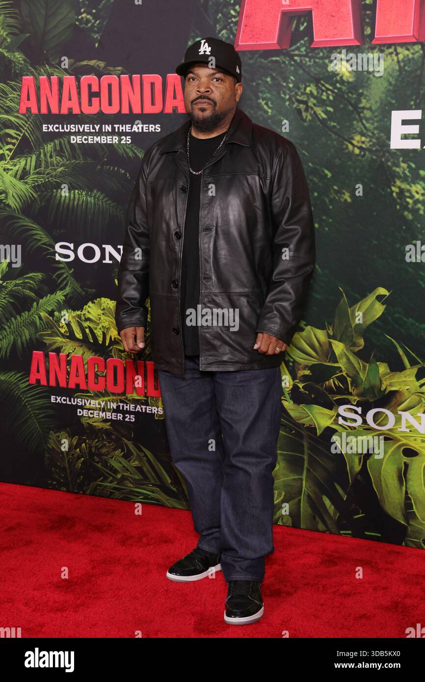 13 December 2025 - Los Angeles, California - Ice Cube,. Los Angeles Premiere Of Columbia ...