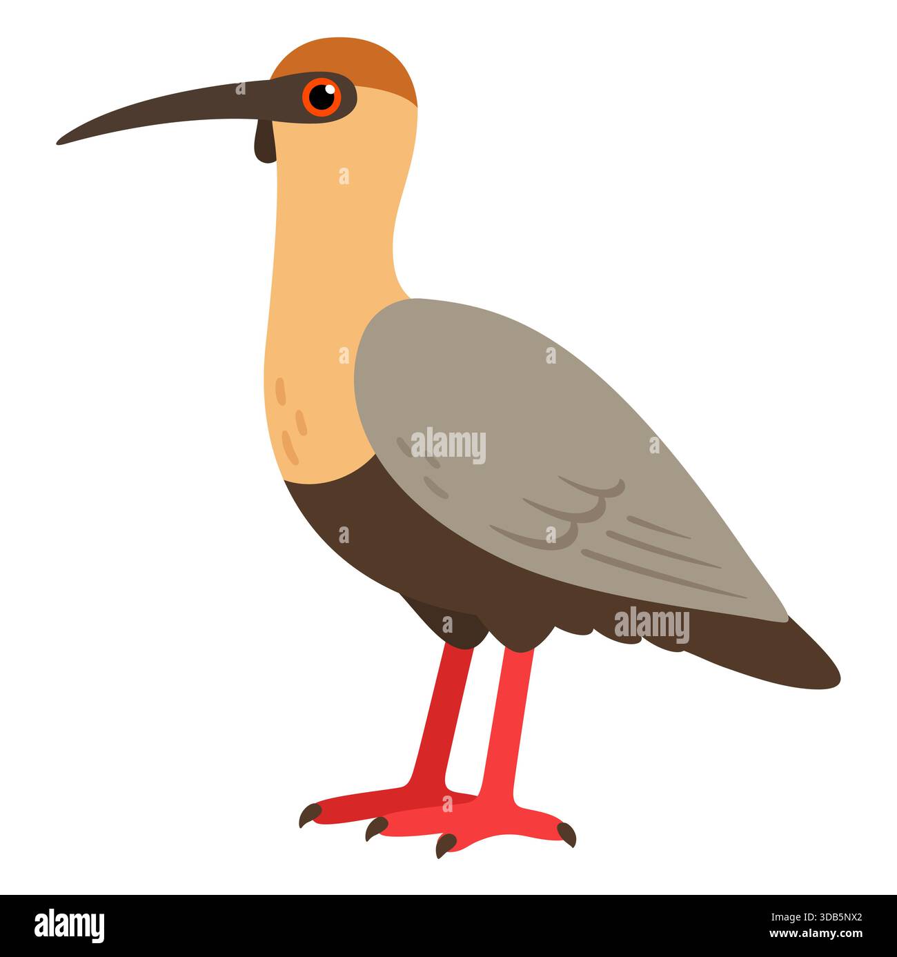 Native to south Stock Vector Images - Alamy