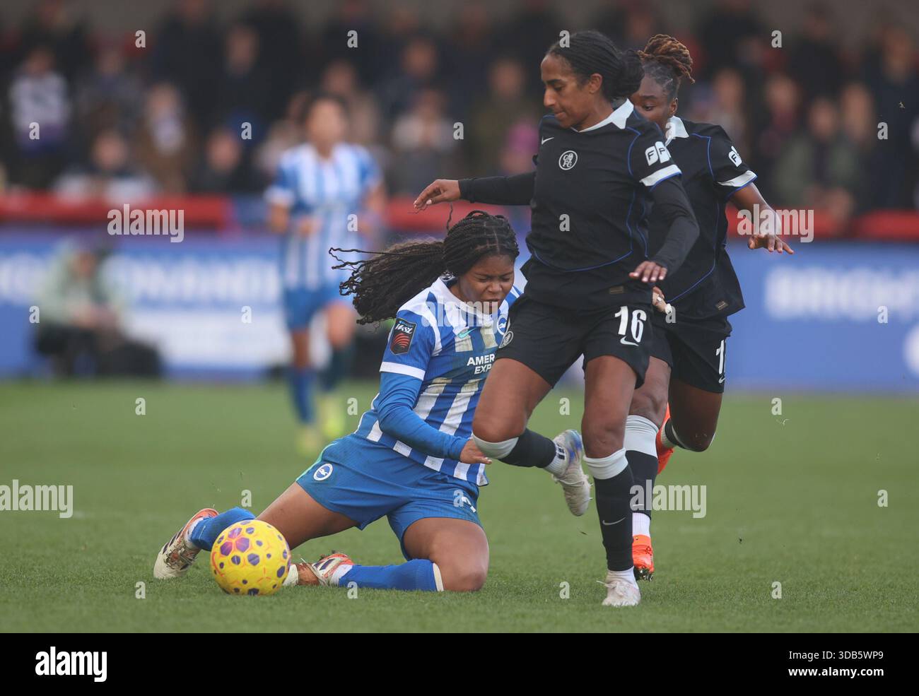 Brighton and Hove Albion's Madison Haley battles for the ball with ...