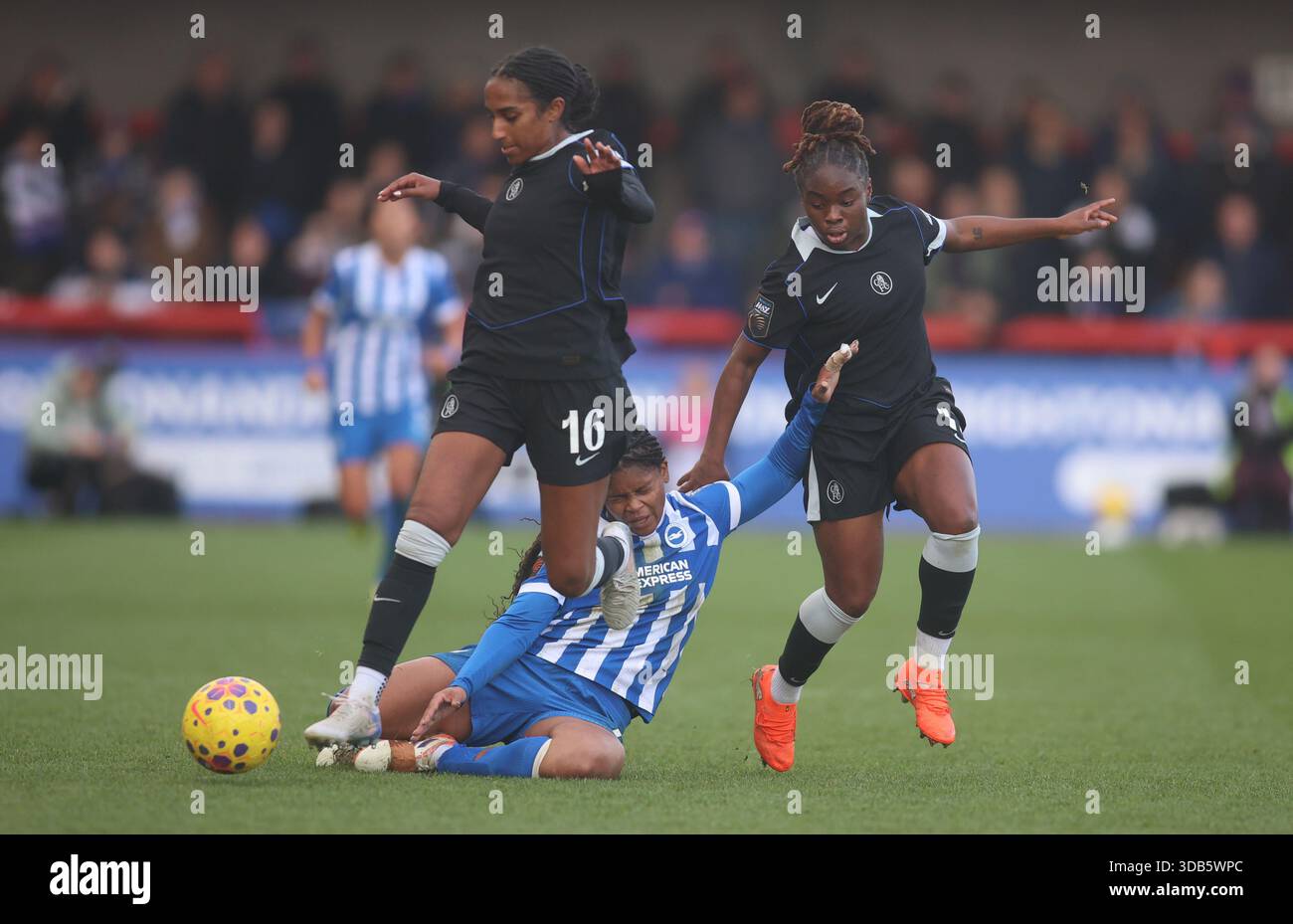 Brighton and Hove Albion's Madison Haley battles for the ball with ...