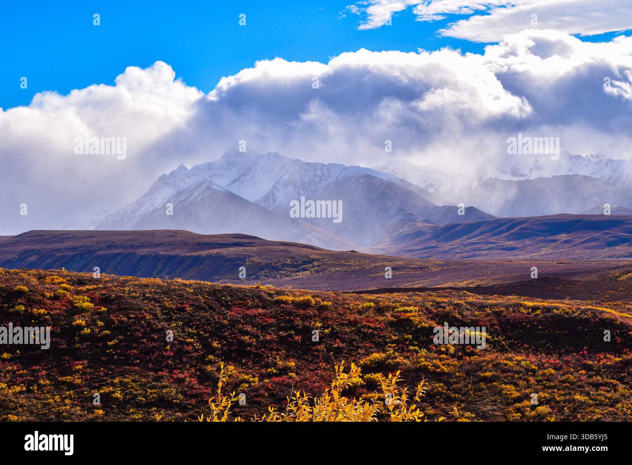 Hidden Mountains of Denali Stock Photo - Alamy