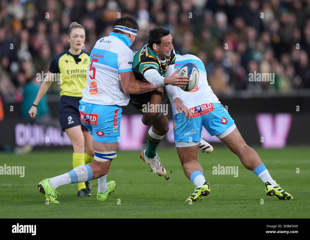 Northampton Saints' Alexander Mitchell offloads as he is tackled by ...