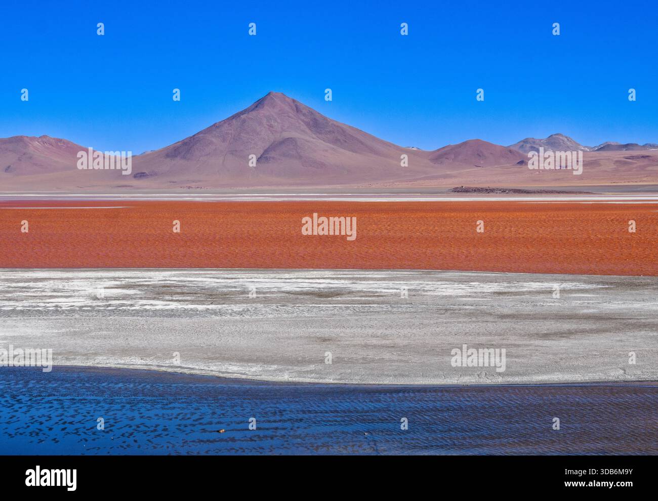 Laguna Colorado the Red Lagoon in the high Andes of Bolivia owes its ...