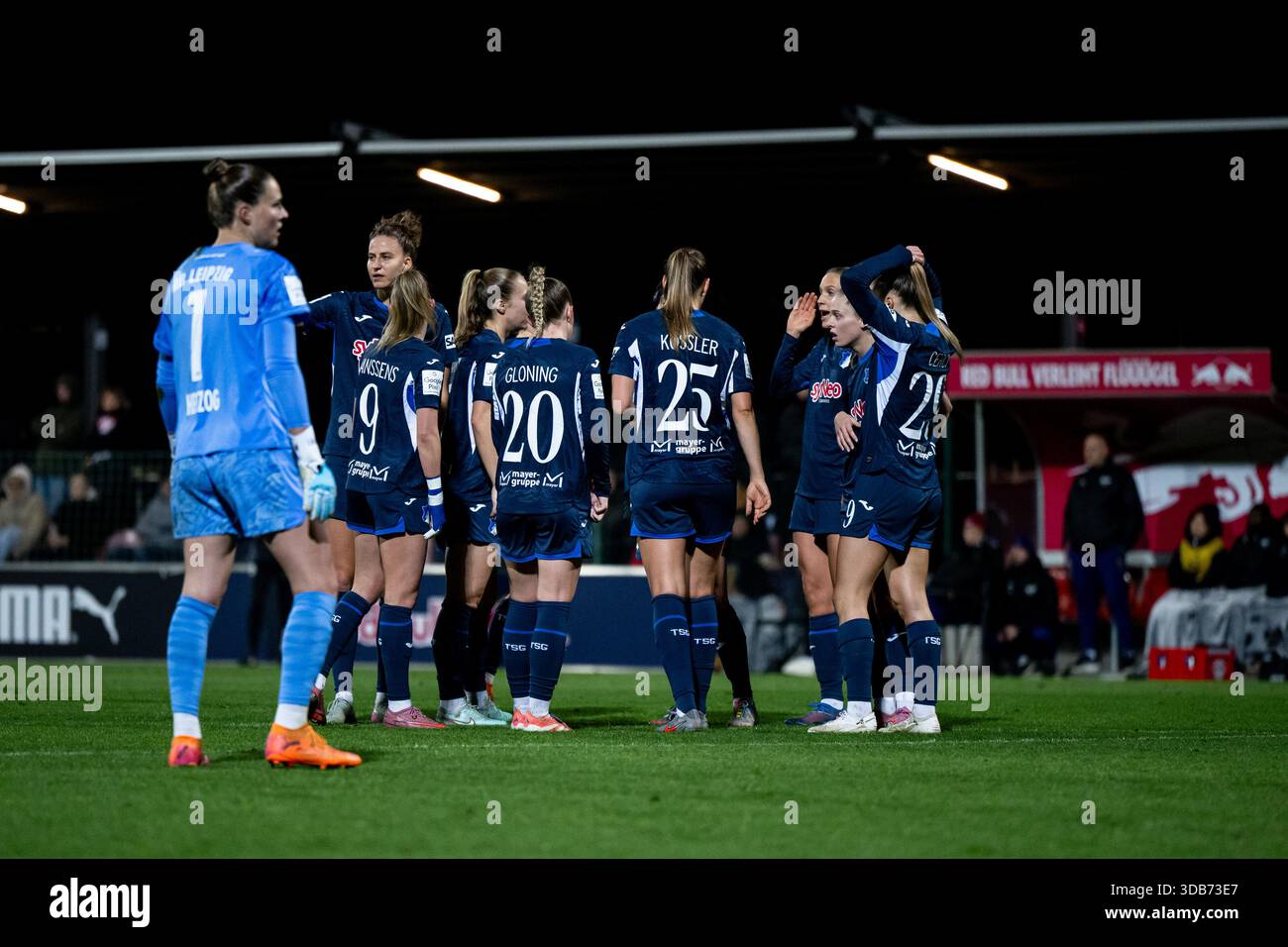 Franziska Harsch (Hoffenheim, #17), Jill Janssens (Hoffenheim, #09 ...