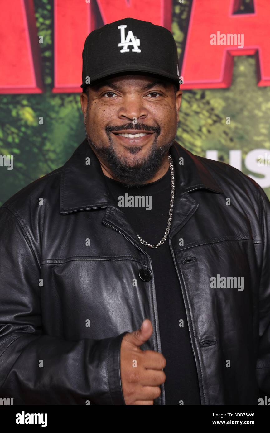 13 December 2025 - Los Angeles, California - Ice Cube. Los Angeles Premiere Of "Anaconda" held ...