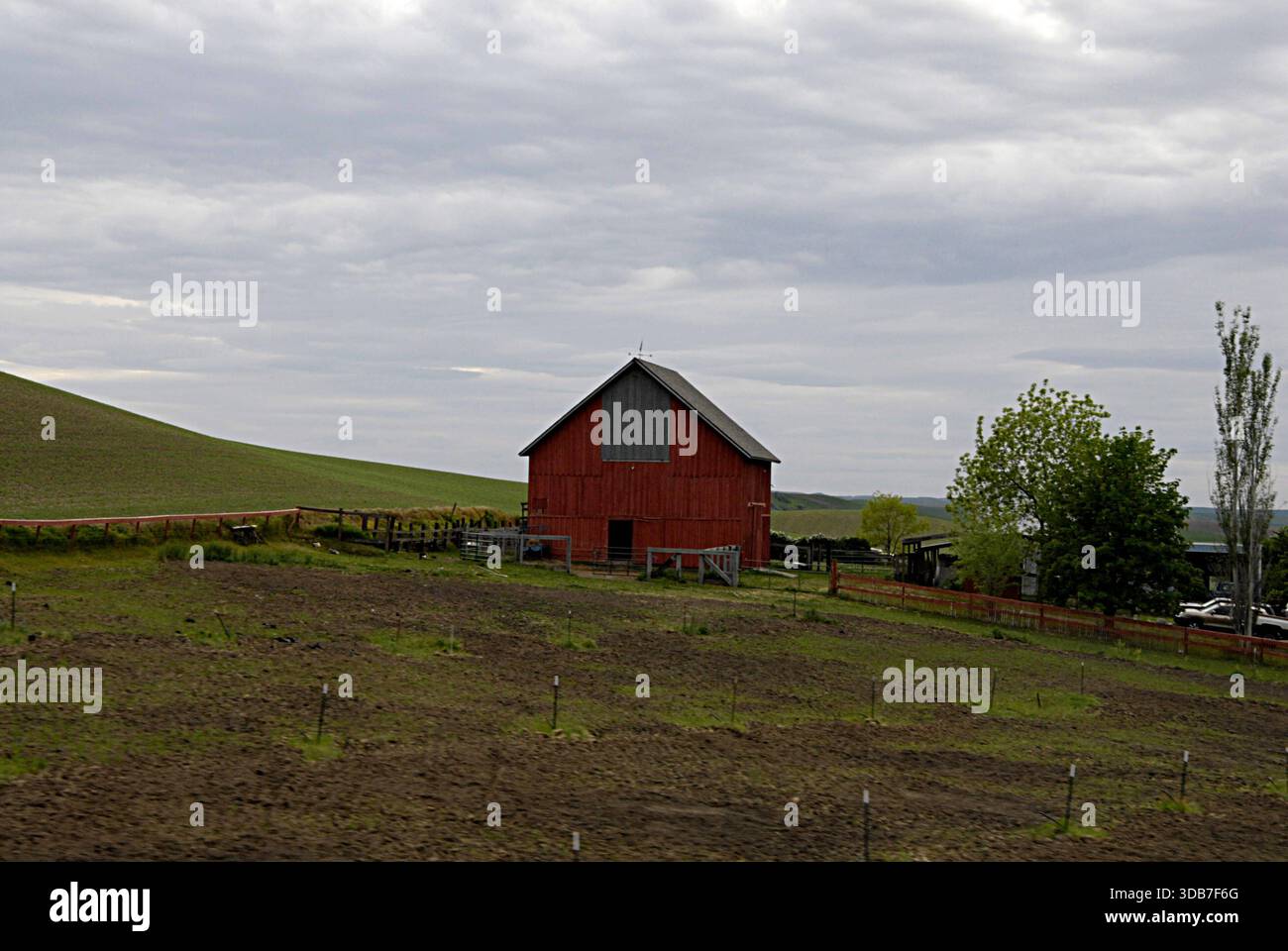 GENESEE/IDAHO /USA-Farmland srounding genesee in idaho states 25 May ...