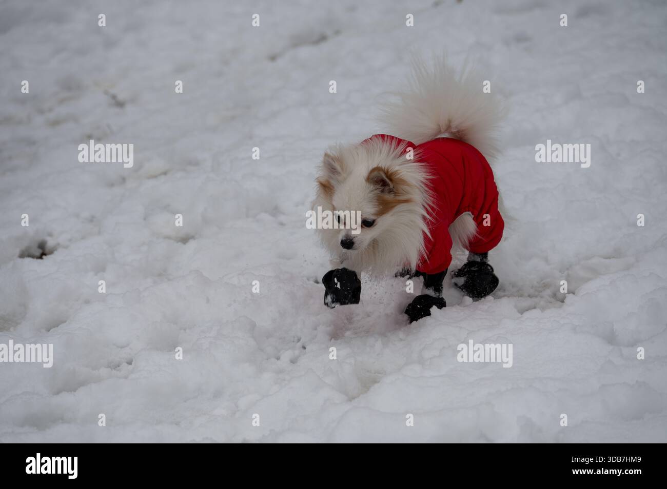 December 14, 2025, Brooklyn, New York, USA: New York City is experiencing its first big snowfall ...