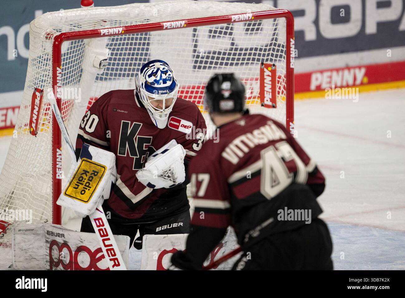 Janne Juvonen (Cologne Sharks, goalkeeper, #30); PENNY DEL 1; Cologne ...