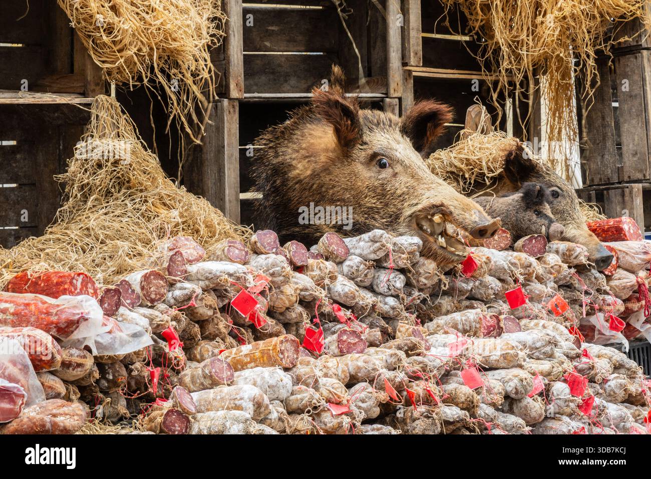 Pork, sausage and salami stall with wild boar heads at the weekly ...