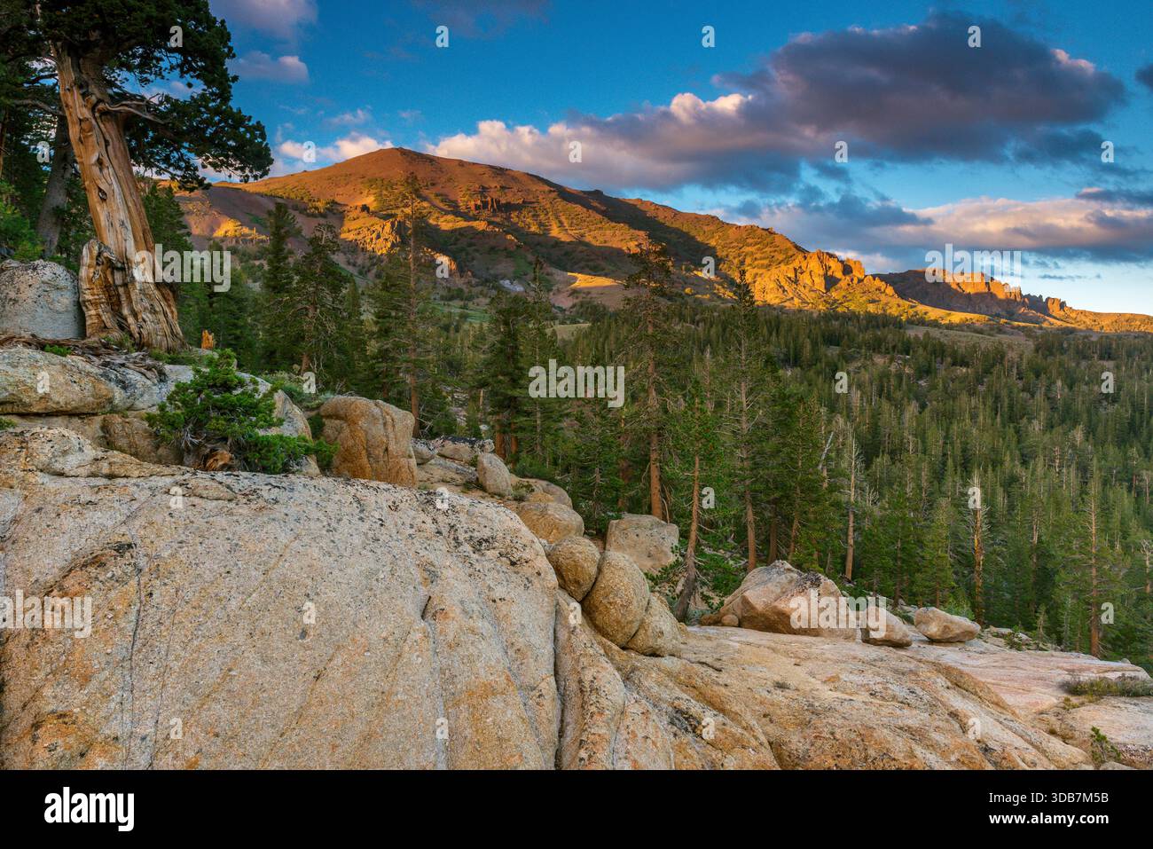 Sonora Mountain, Carson-Iceberg Wilderness, Stanislaus National Forest ...