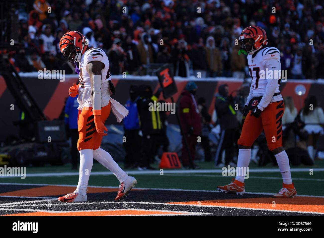 Cincinnati Bengals linebacker Demetrius Knight Jr. (44), center ...