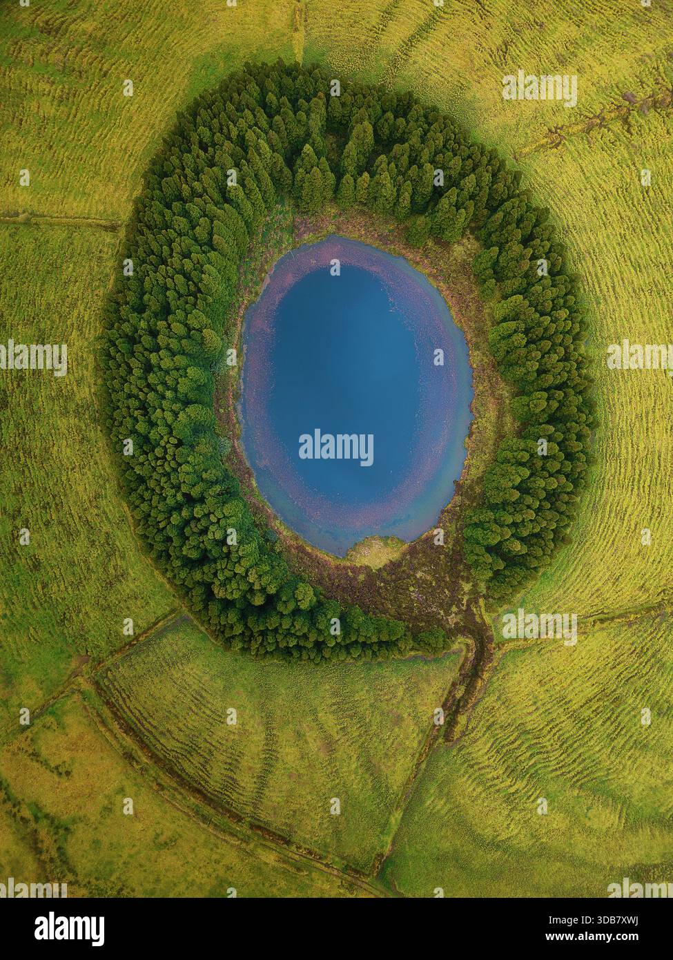 Top-down aerial view of a circular volcanic lake surrounded by forest ...