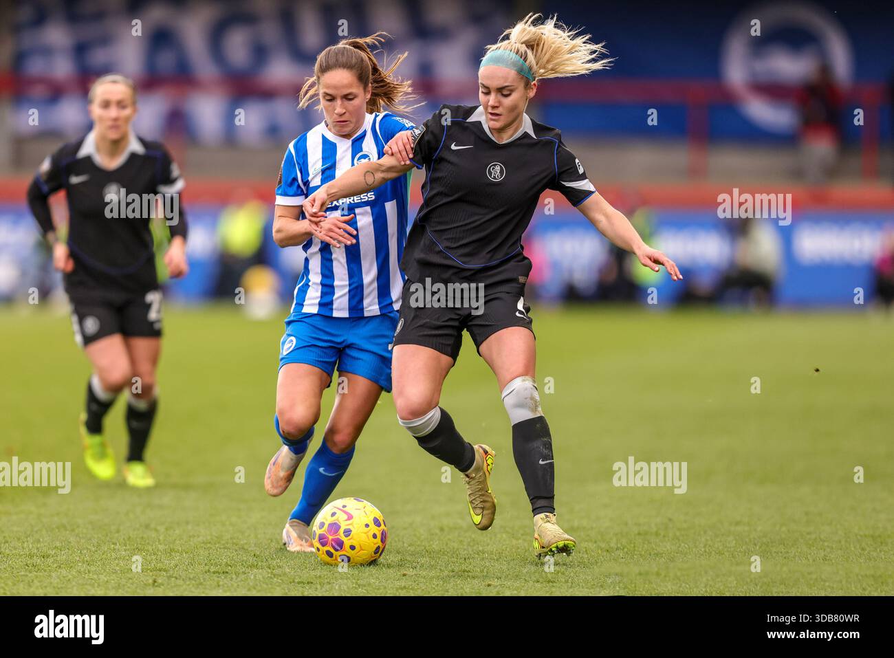 Neil carpenter hi-res stock photography and images - Alamy