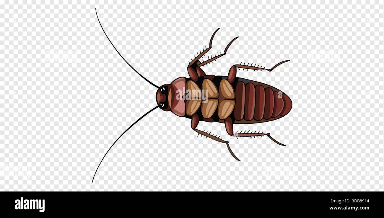 Close up detailed side Stock Vector Images - Alamy