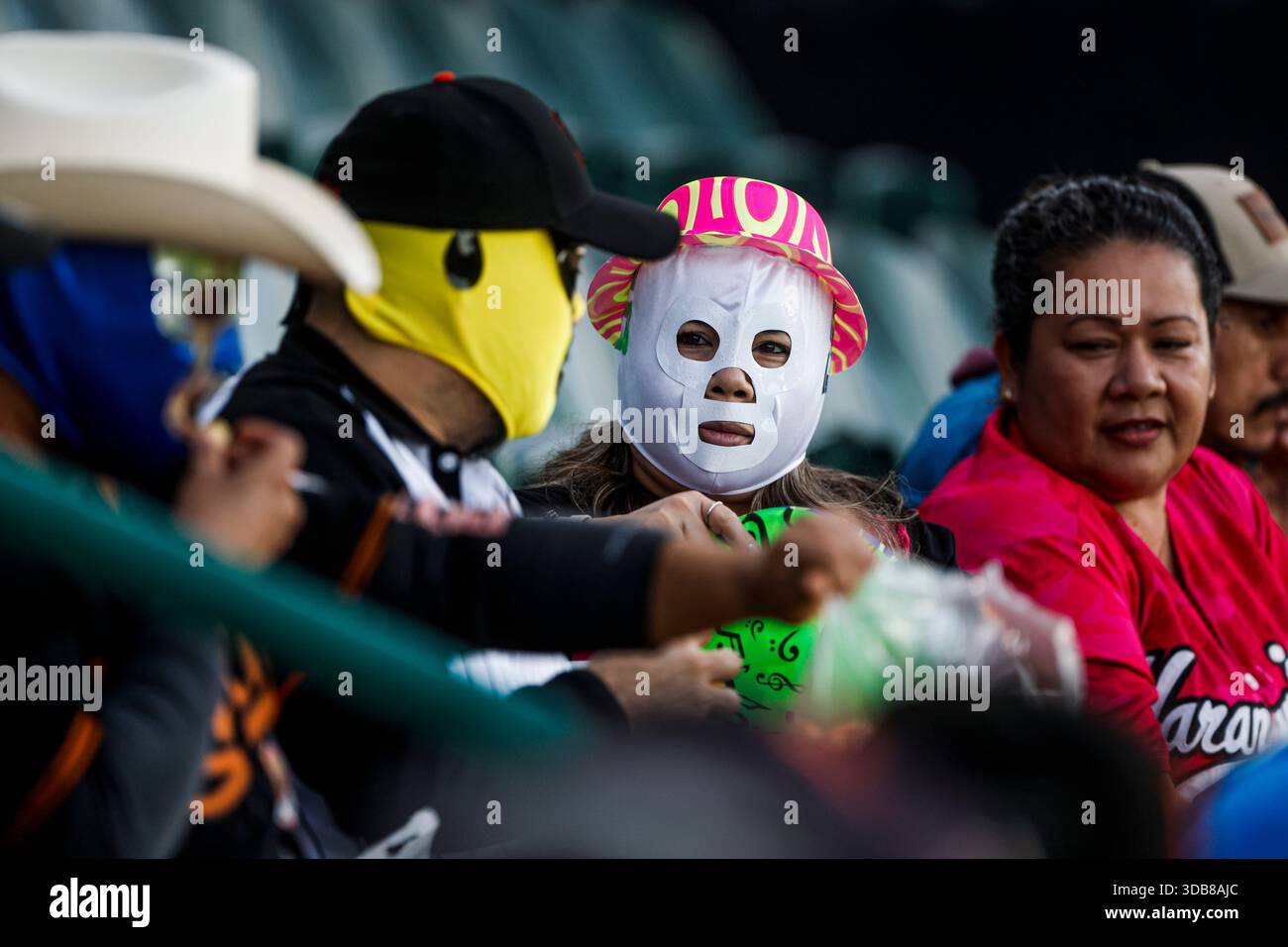 HERMOSILLO, MEXICO - DECEMBER 7: Fans wearing masks of wrestlers ...