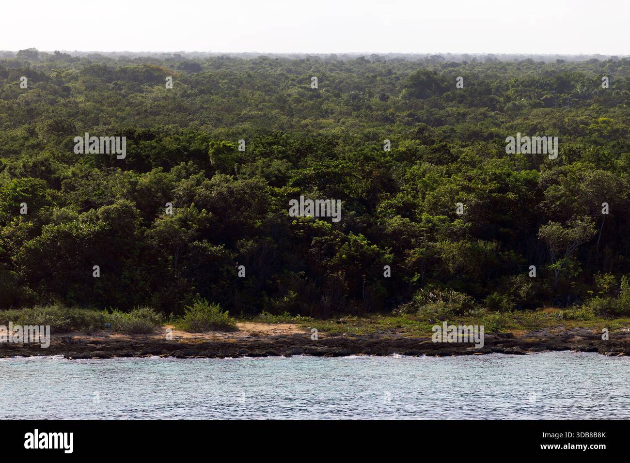Tropical coastal landscape with dense green jungle vegetation along the ...