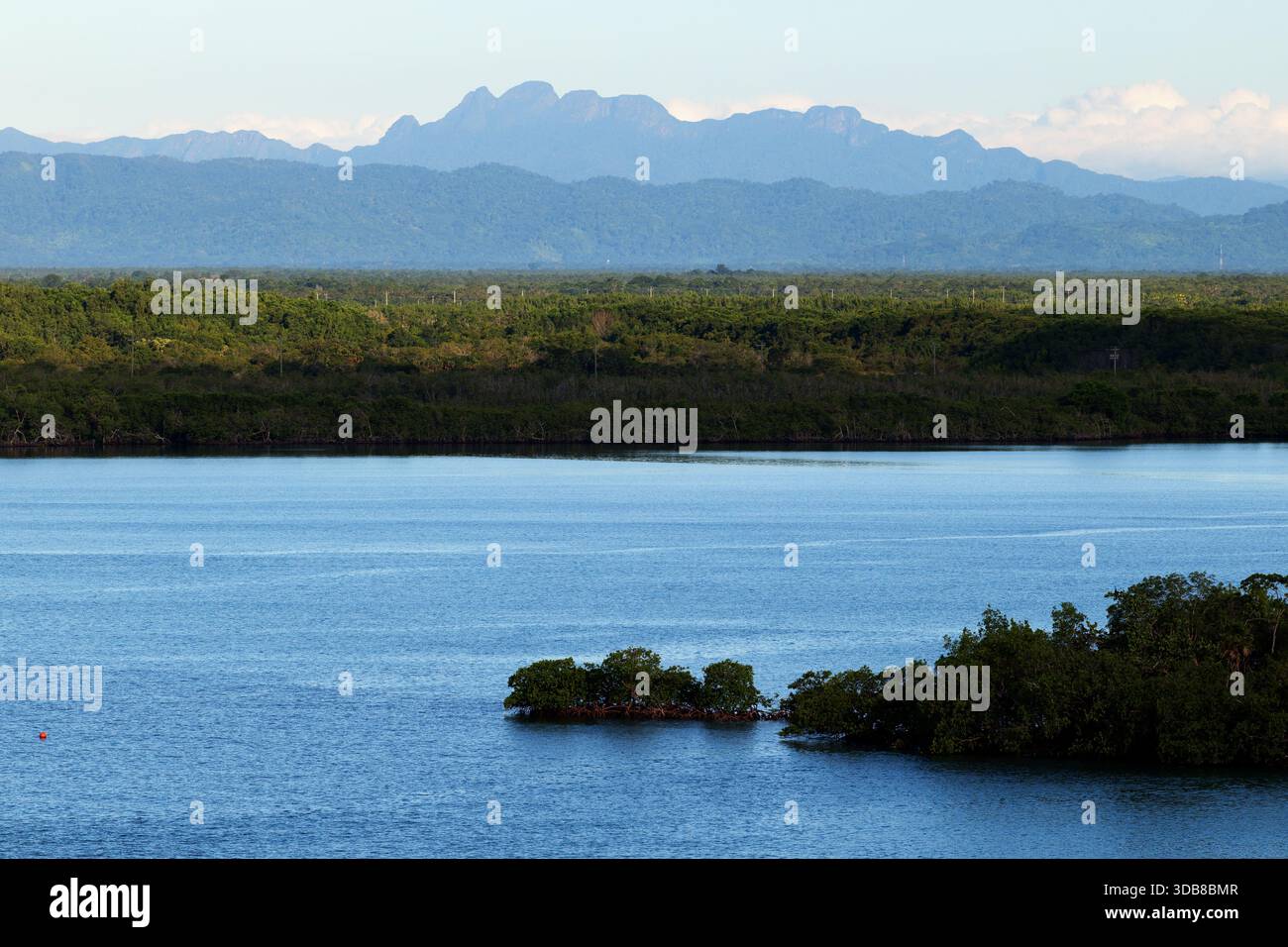 View of the Belize mainland from Harvest Caye, with mangrove-lined ...