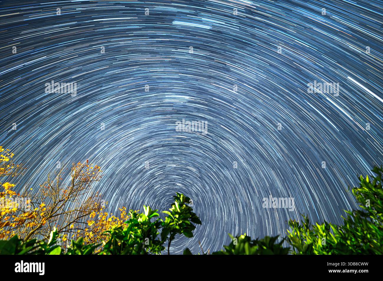 Long-exposure image capturing circular star trails across the night sky ...