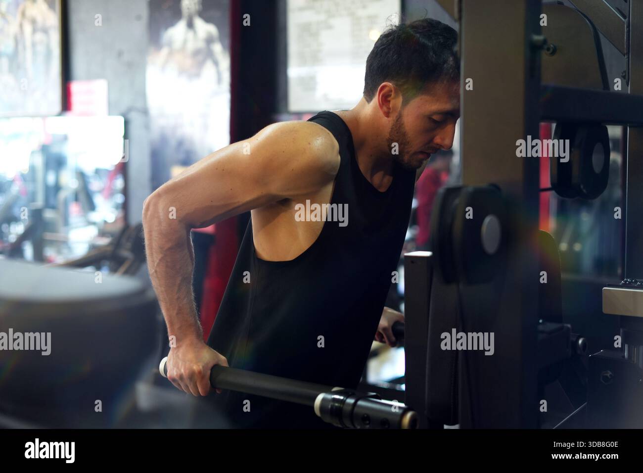 Male athlete building upper body strength and muscle definition ...