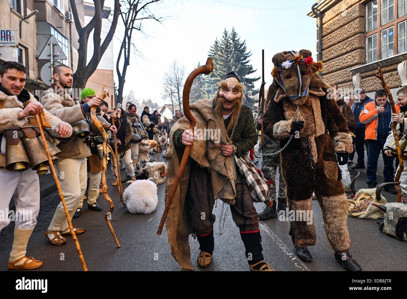 A performer dressed as a traditional bear handler leads a bear ...