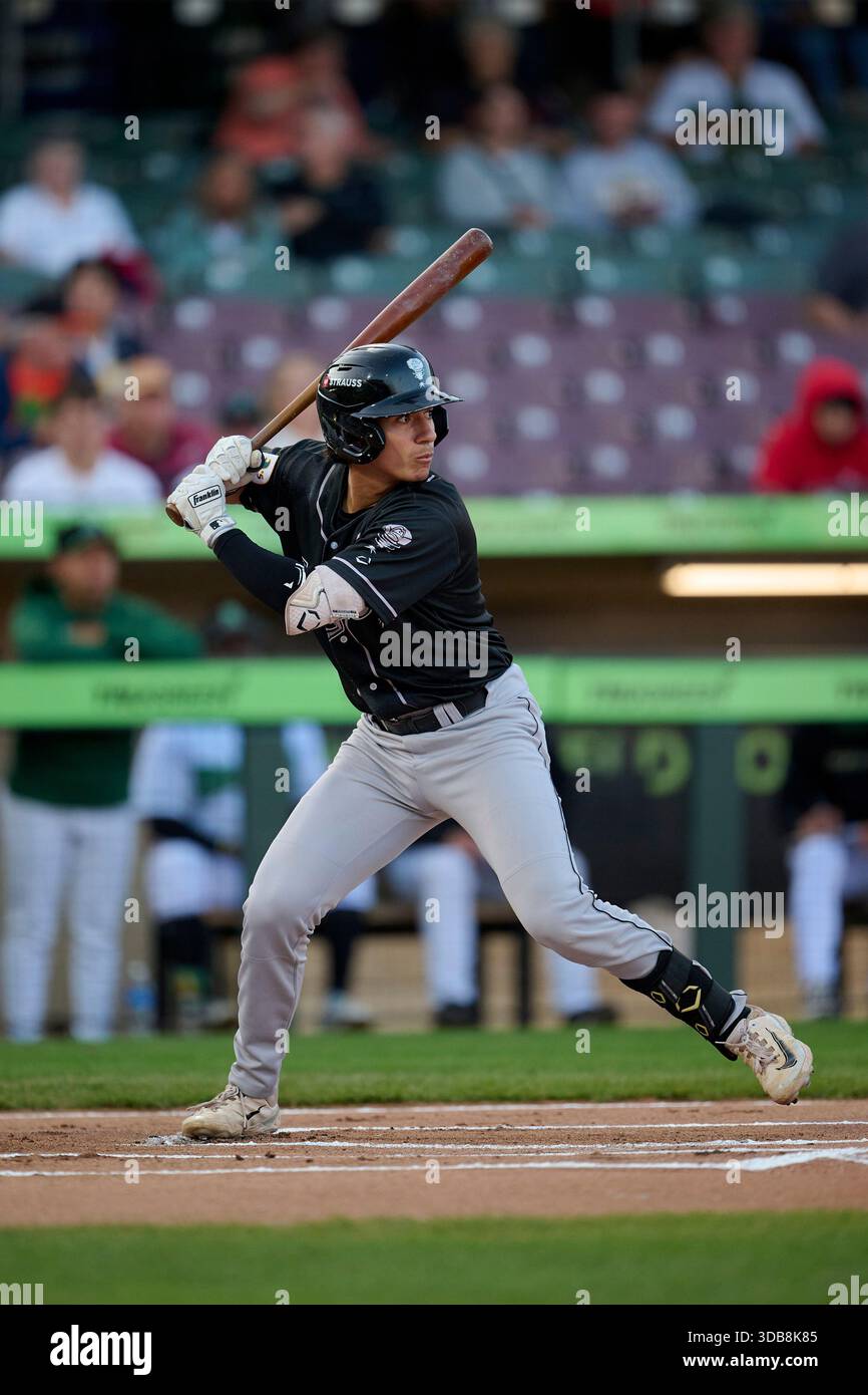 Lansing Lugnuts Davis Diaz (4) bats during an MiLB Midwest League baseball game against the ...