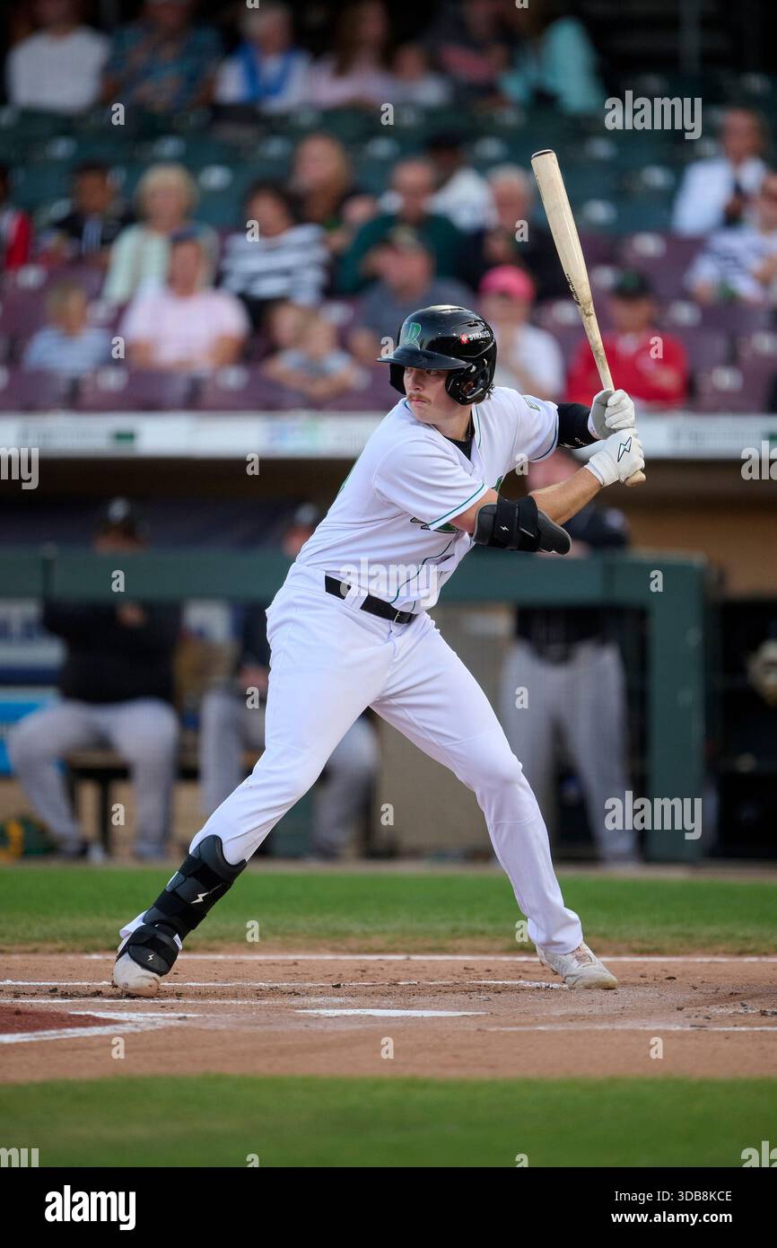 Dayton Dragons Jack Moss (24) bats during an MiLB Midwest League baseball game against the ...