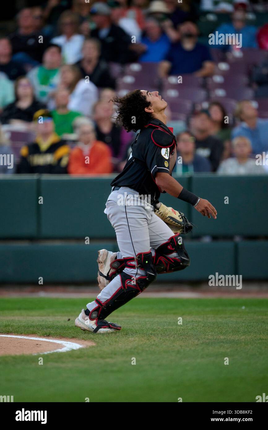 Lansing Lugnuts catcher Davis Diaz (4) tracks a foul ball popup during an MiLB Midwest League ...