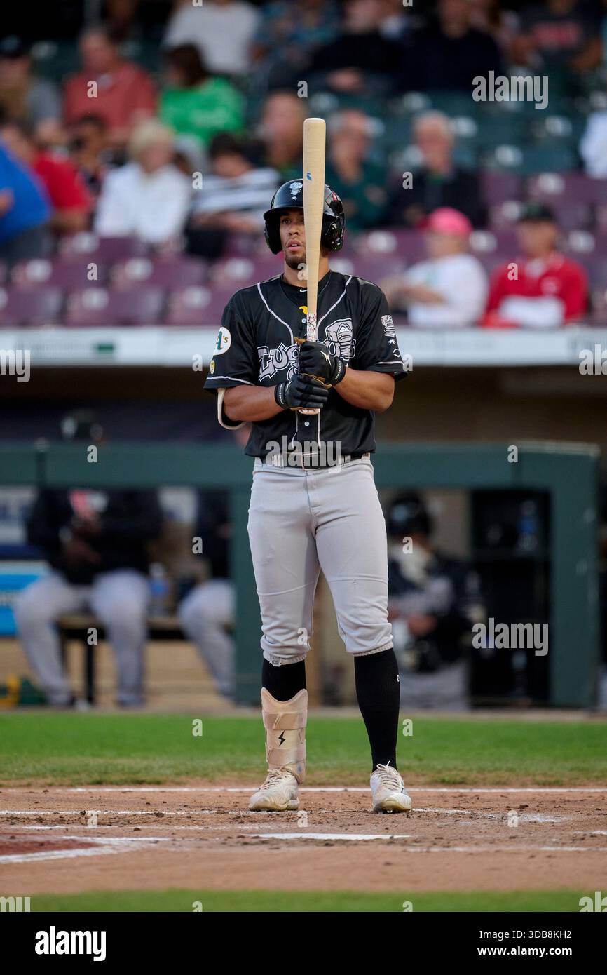 Lansing Lugnuts Cameron Leary (3) bats during an MiLB Midwest League baseball game against the ...