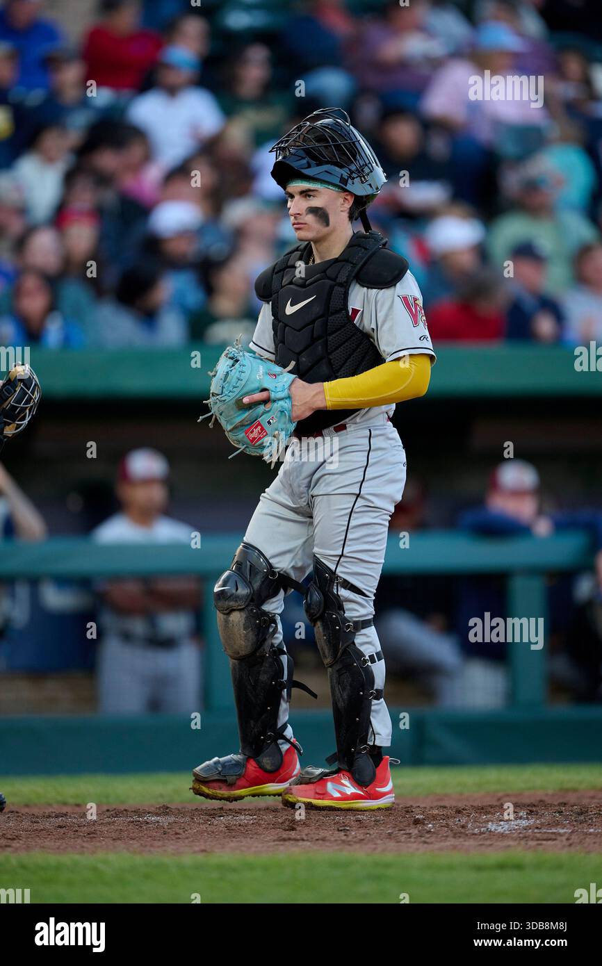 Wisconsin Timber Rattlers catcher Marco Dinges (8) during an MiLB ...
