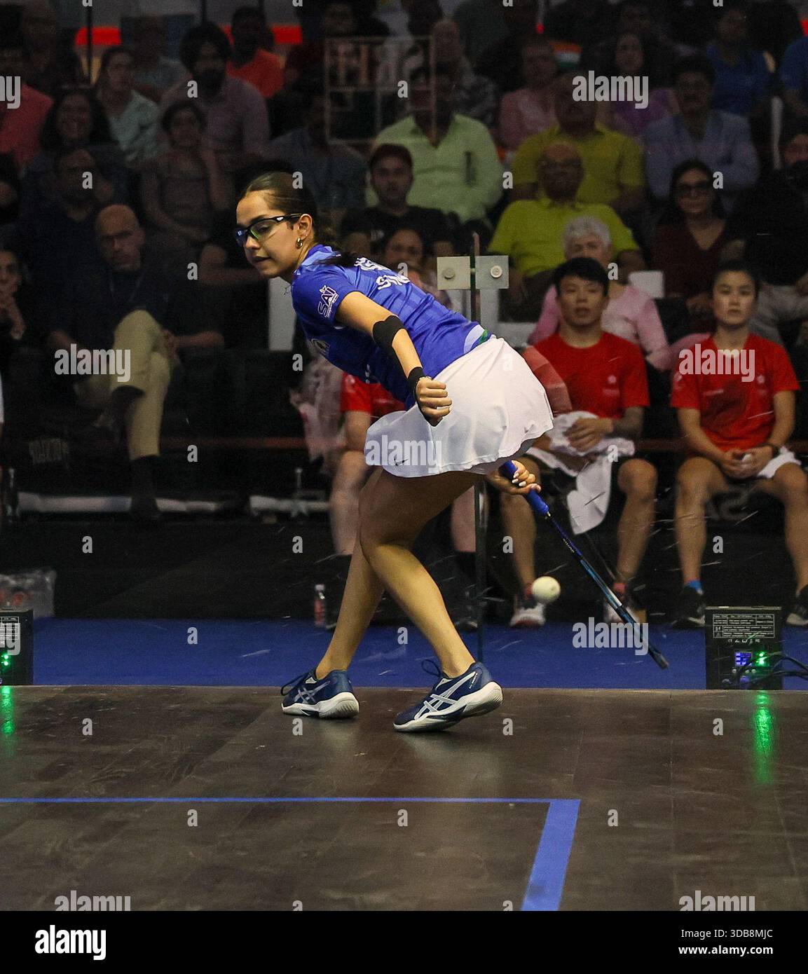 SDAT Squash World Cup 2025 – Chennai, India. “India clinched the Squash ...