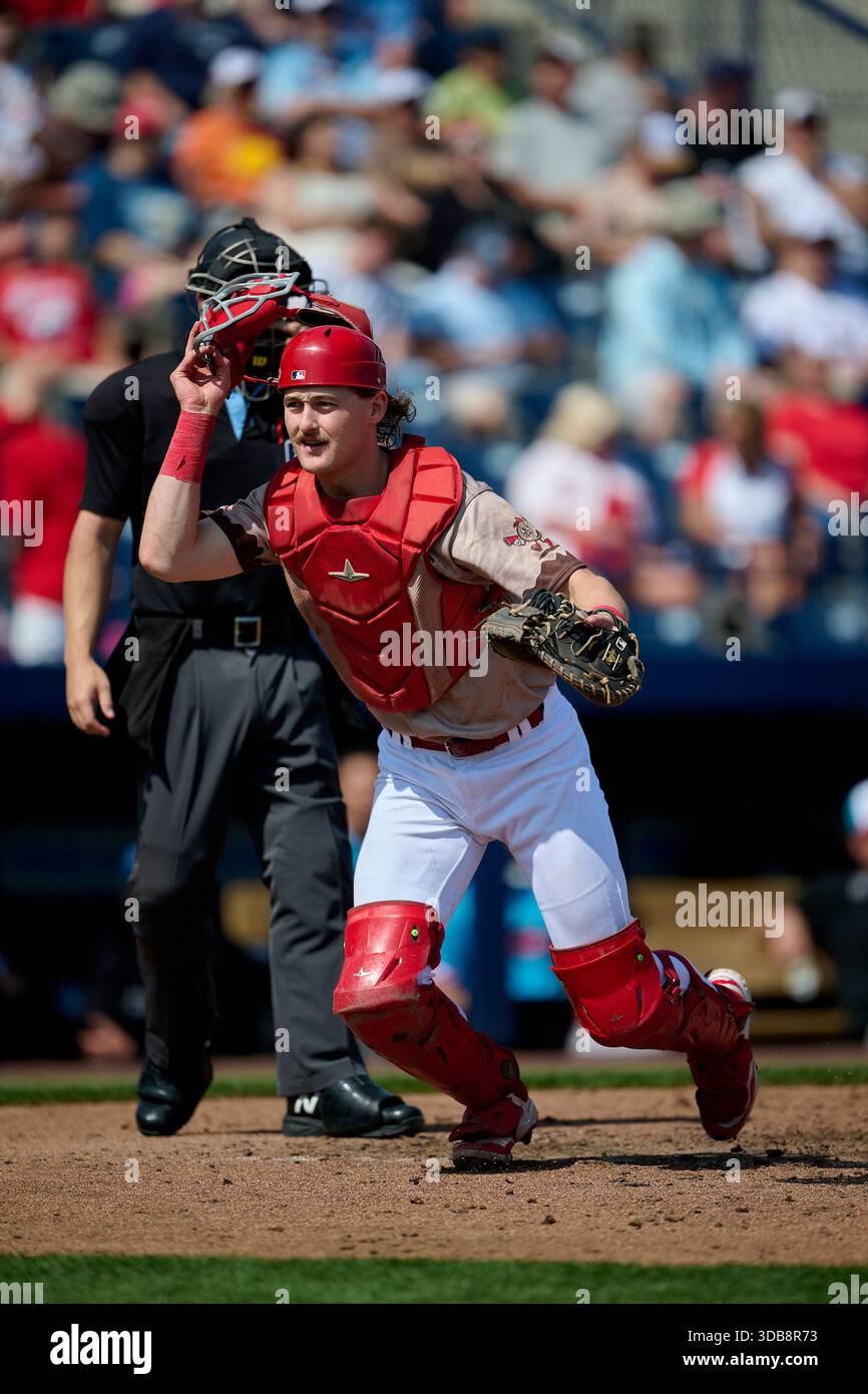 Reading Flapjacks catcher Caleb Ricketts (19) fielding during an MiLB ...