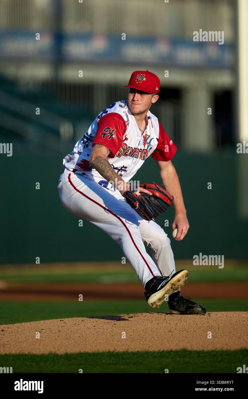 Harrisburg Senators pitcher Alex Clemmey (9) during an MiLB Eastern ...