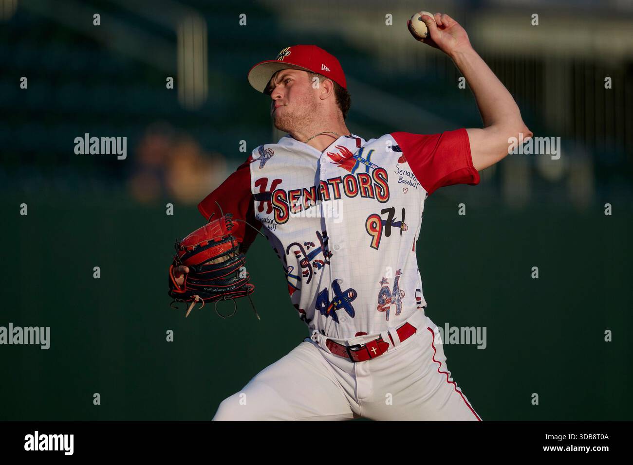 Harrisburg Senators pitcher Alex Clemmey (9) during an MiLB Eastern ...