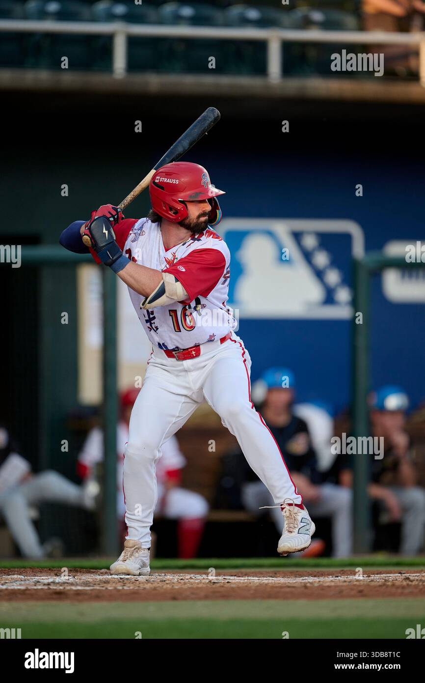 Harrisburg Senators Cayden Wallace (10) bats during an MiLB Eastern ...