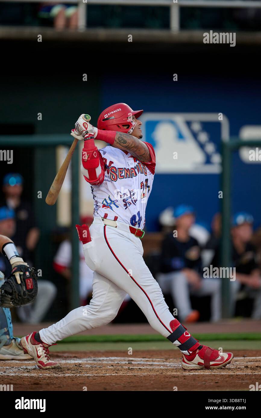 Harrisburg Senators Maxwell Romero Jr. (21) bats during an MiLB Eastern ...