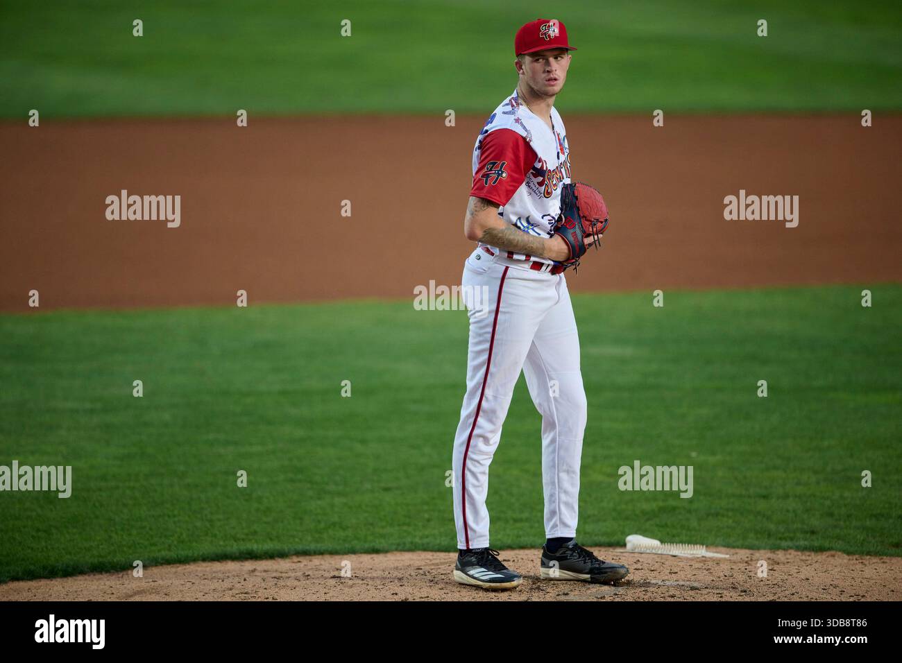 Harrisburg Senators pitcher Alex Clemmey (9) during an MiLB Eastern ...